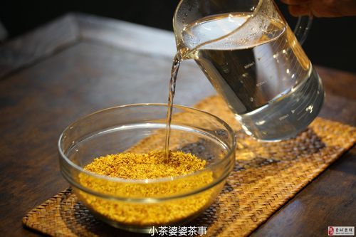 桂花蜜免费阅读_哪里能看正版全文-第3张图片-山城妙识