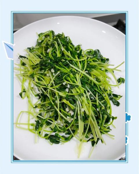 青豆苗怎么炒才好吃_青豆苗炒几分钟口感最佳-第1张图片-山城妙识