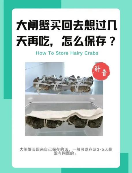 大闸蟹怎么保存_大闸蟹保存多久不会死-第3张图片-山城妙识