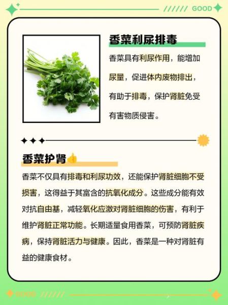 香菜补肾还是伤肾_肾病患者能吃香菜吗-第2张图片-山城妙识