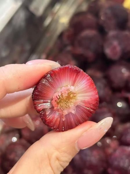 冰杨梅的功效与作用_冰杨梅能减肥吗-第2张图片-山城妙识