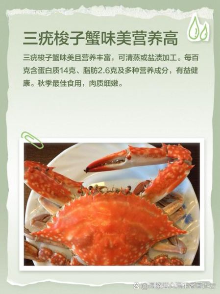 三疣梭子蟹怎么读_三疣梭子蟹读音拼音-第2张图片-山城妙识