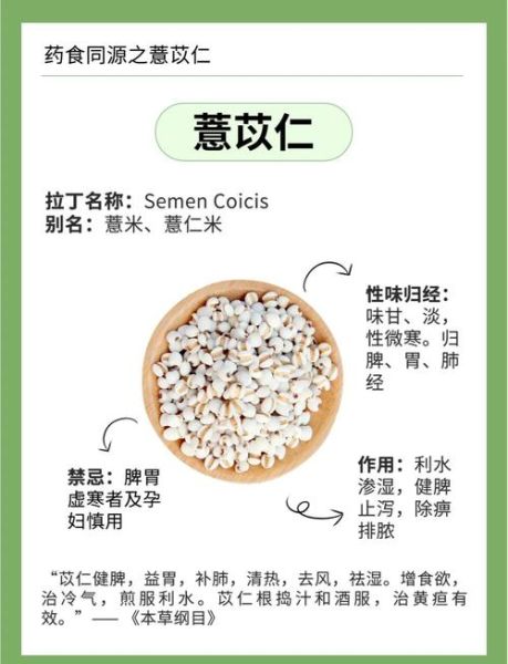 薏米怎么吃最除湿不寒_薏米去湿不寒凉的做法-第2张图片-山城妙识