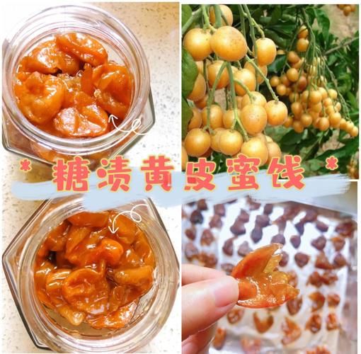 黄皮酱怎么做_正宗黄皮酱配方比例-第2张图片-山城妙识