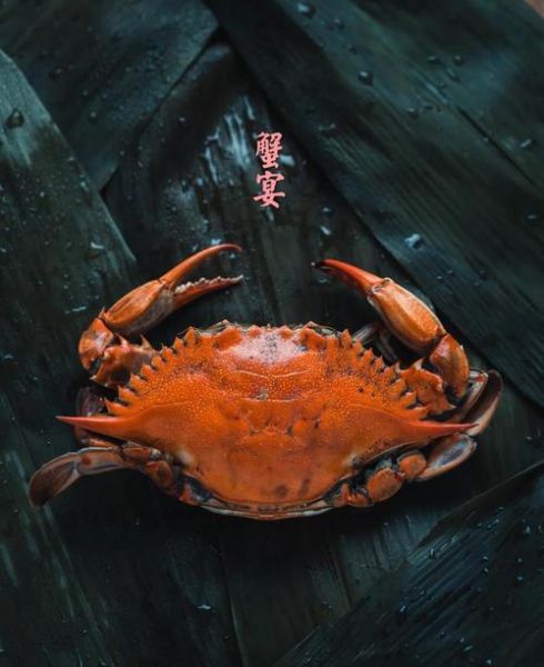 清蒸螃蟹怎么吃_清蒸螃蟹剥法图解-第1张图片-山城妙识 清蒸螃蟹怎么吃_清蒸螃蟹剥法图解-第1张图片-山城妙识
