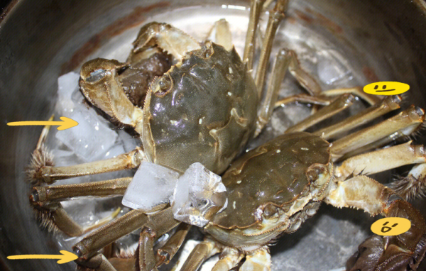 清蒸螃蟹怎么吃_清蒸螃蟹剥法图解-第3张图片-山城妙识 清蒸螃蟹怎么吃_清蒸螃蟹剥法图解-第3张图片-山城妙识