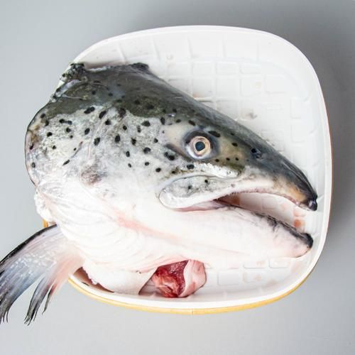 挪威三文鱼的营养价值_孕妇能吃吗-第2张图片-山城妙识