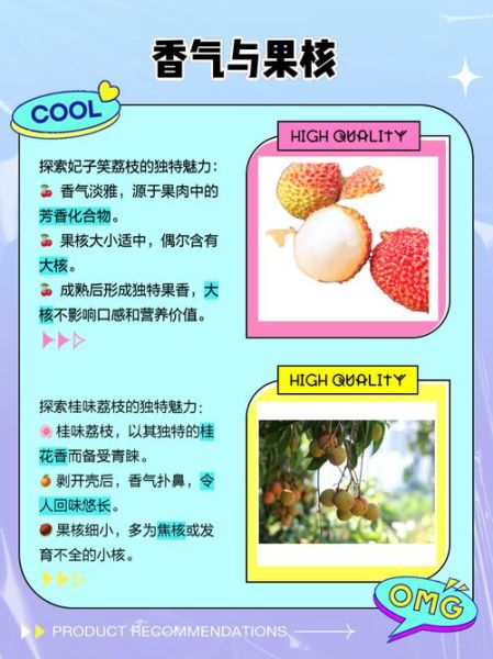 荔枝品种图片大全_如何区分妃子笑与桂味-第1张图片-山城妙识