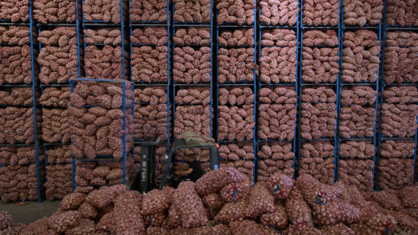 牡丹国际大蒜电子盘怎么开户_牡丹国际大蒜电子盘交易规则-第1张图片-山城妙识 牡丹国际大蒜电子盘怎么开户_牡丹国际大蒜电子盘交易规则-第1张图片-山城妙识