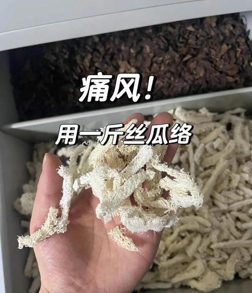 丝瓜络治痛风有效吗_丝瓜络治痛风怎么用-第1张图片-山城妙识