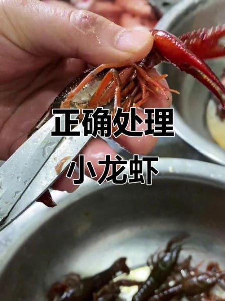 小龙虾怎么清洗_小龙虾怎么去虾线-第3张图片-山城妙识 小龙虾怎么清洗_小龙虾怎么去虾线-第3张图片-山城妙识