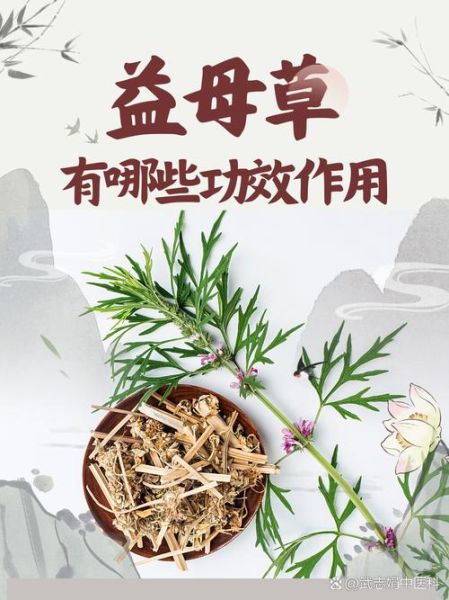 月经期喝益母草的危害_经期喝益母草有什么副作用-第3张图片-山城妙识