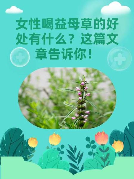 月经期喝益母草的危害_经期喝益母草有什么副作用-第1张图片-山城妙识