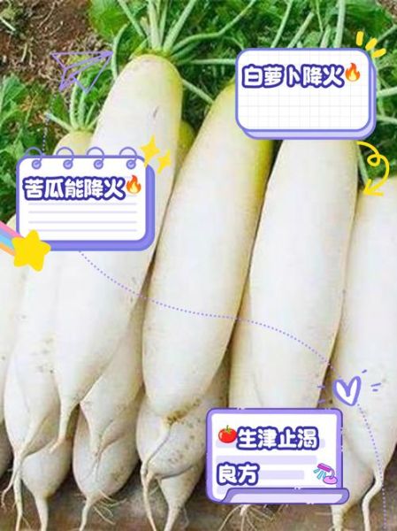 什么蔬菜降火_降火蔬菜有哪些-第1张图片-山城妙识