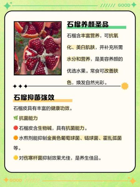 儿童吃石榴有什么好处_石榴对儿童有哪些营养功效-第3张图片-山城妙识
