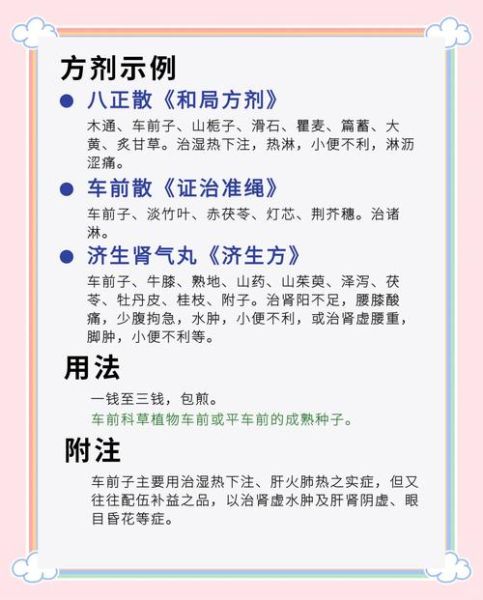 车前子能长期泡水喝吗_车前子功效与作用图片-第1张图片-山城妙识