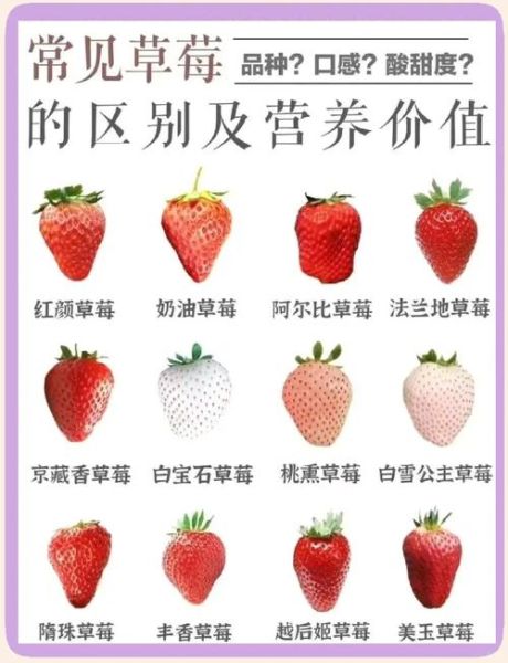 草莓什么季节成熟_草莓几月份可以摘-第1张图片-山城妙识
