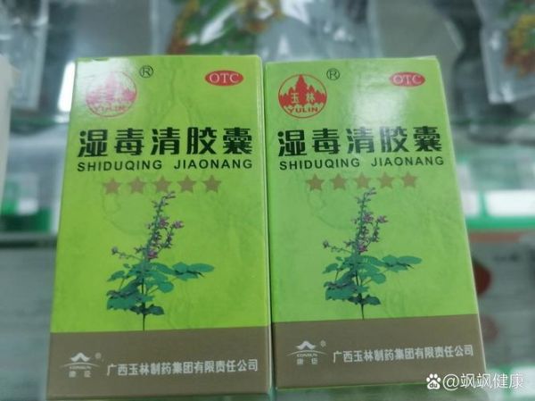 湿气重去药店买什么药_湿气重吃什么中成药-第3张图片-山城妙识