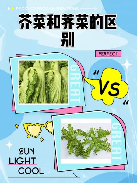 小芥菜长什么样子_如何辨别小芥菜与雪里蕻-第1张图片-山城妙识
