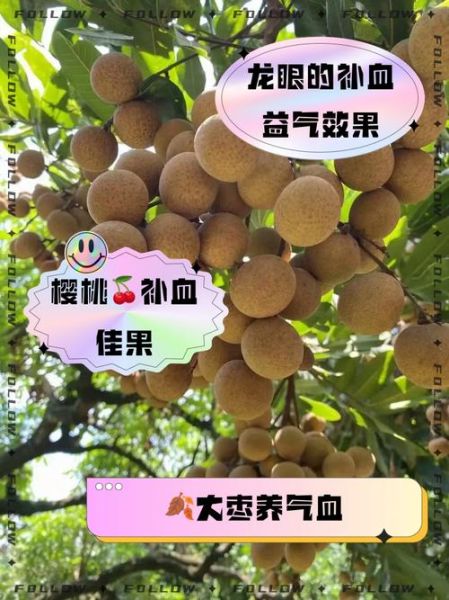 补血最好水果第一名是什么_吃多久见效-第2张图片-山城妙识 补血最好水果第一名是什么_吃多久见效-第2张图片-山城妙识