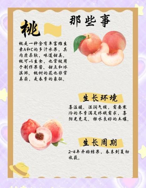 桃子吃了会上火吗_桃子功效与作用及副作用-第1张图片-山城妙识