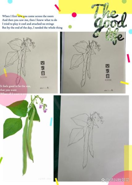 四季豆卡通图片怎么画_四季豆简笔画步骤-第1张图片-山城妙识 四季豆卡通图片怎么画_四季豆简笔画步骤-第1张图片-山城妙识