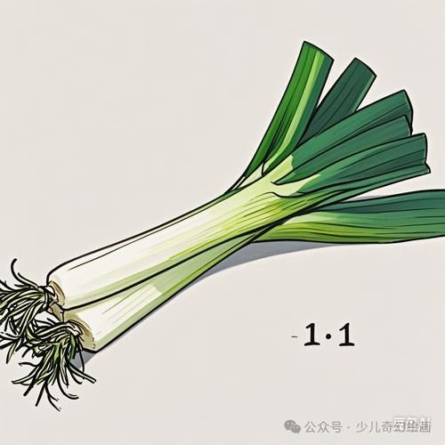 大葱简笔画怎么画_大葱图片简笔画教程-第2张图片-山城妙识