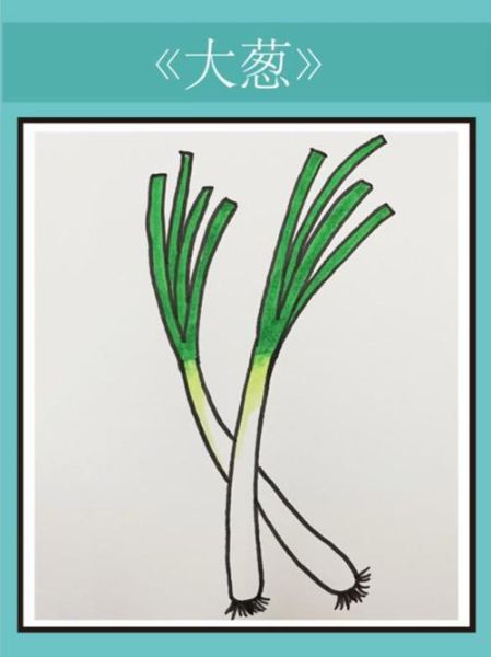 大葱简笔画怎么画_大葱图片简笔画教程-第3张图片-山城妙识