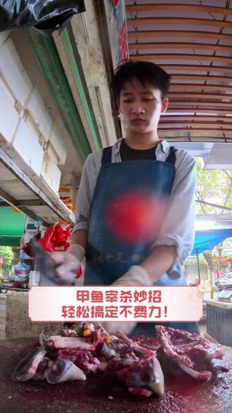 甲鱼怎么杀_甲鱼宰杀后怎么处理干净-第3张图片-山城妙识