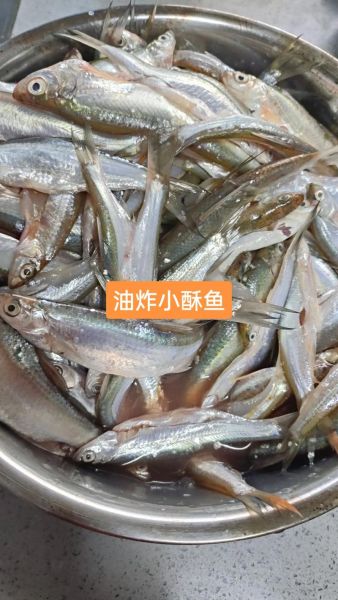 炸酥鱼怎么炸才酥脆_炸酥鱼用什么鱼最好-第1张图片-山城妙识