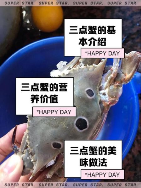 三点蟹和梭子蟹的区别_怎么挑选-第3张图片-山城妙识 三点蟹和梭子蟹的区别_怎么挑选-第3张图片-山城妙识