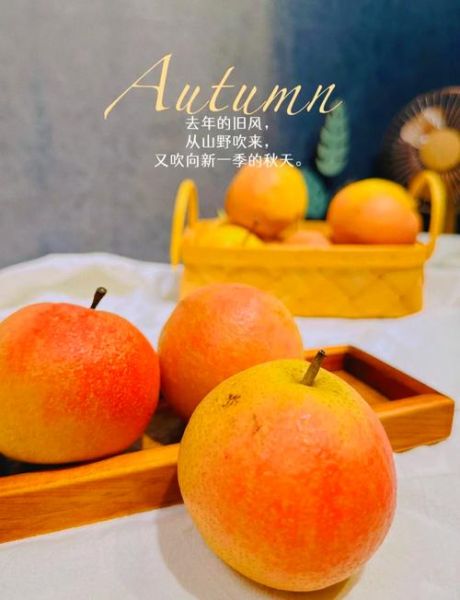 南果梨的营养价值_南果梨的功效与作用-第3张图片-山城妙识