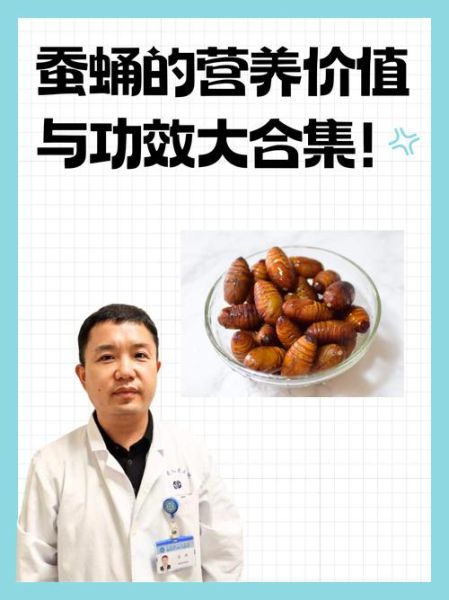 蝉蛹的功效与作用女性_女人吃蝉蛹有什么好处-第1张图片-山城妙识