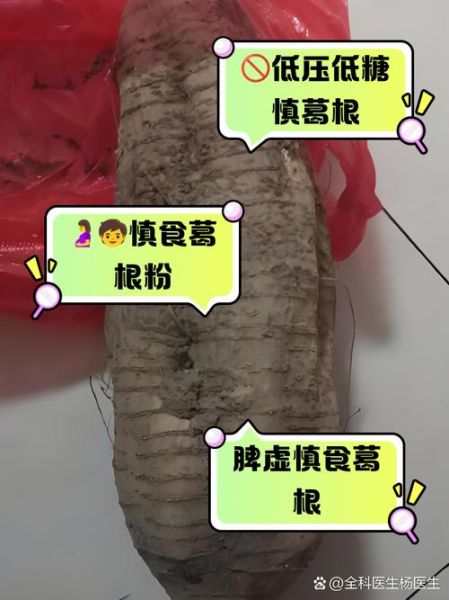 葛根哪些人不能吃_葛根禁忌人群-第1张图片-山城妙识 葛根哪些人不能吃_葛根禁忌人群-第1张图片-山城妙识