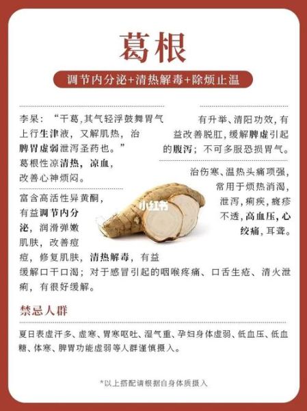 葛根哪些人不能吃_葛根禁忌人群-第2张图片-山城妙识 葛根哪些人不能吃_葛根禁忌人群-第2张图片-山城妙识