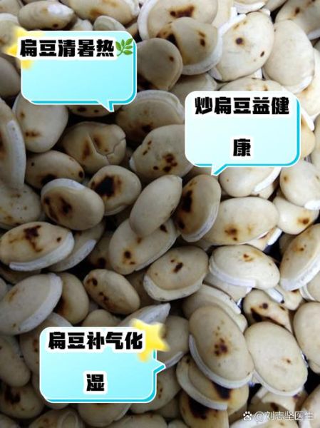 炒白扁豆和白扁豆的区别_功效差异-第3张图片-山城妙识