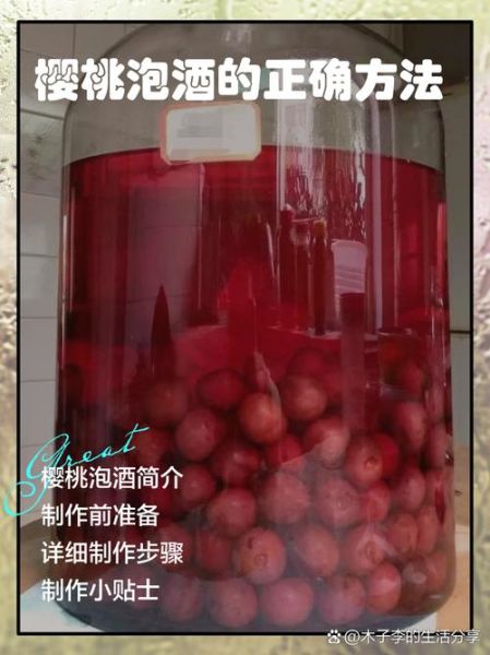 樱桃酒怎么泡_樱桃酒的功效与作用-第1张图片-山城妙识 樱桃酒怎么泡_樱桃酒的功效与作用-第1张图片-山城妙识