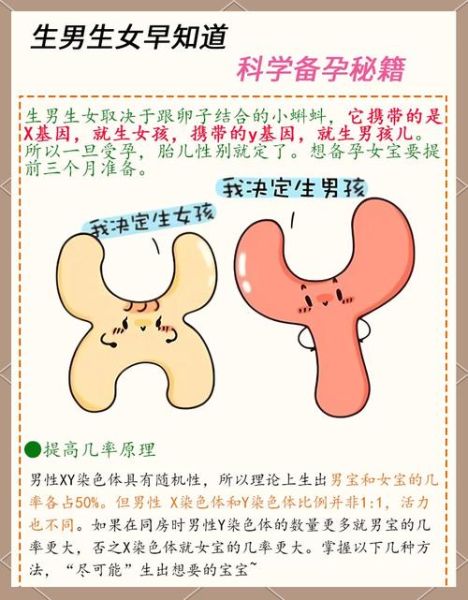 生男孩的科学方法_备孕怀男宝技巧-第2张图片-山城妙识 生男孩的科学方法_备孕怀男宝技巧-第2张图片-山城妙识