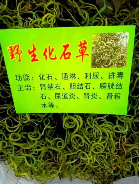 打结石的三种草药_真的有效吗-第1张图片-山城妙识 打结石的三种草药_真的有效吗-第1张图片-山城妙识