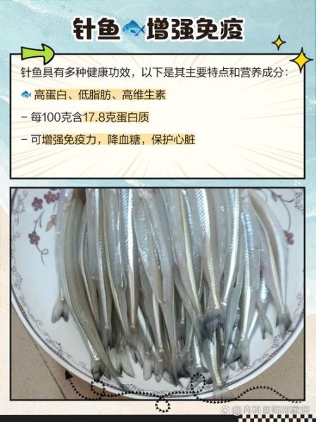 钢针鱼的营养价值_钢针鱼的功效与作用-第1张图片-山城妙识