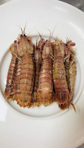 皮皮虾怎么做好吃_清蒸皮皮虾要蒸多久-第2张图片-山城妙识