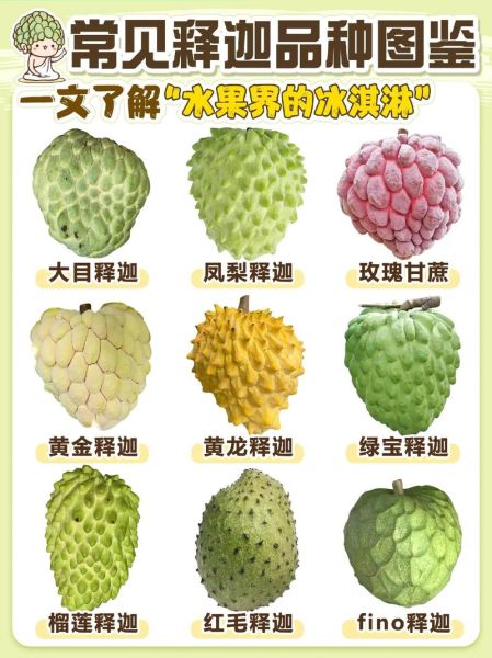 释迦果的营养价值_释迦果的功效与作用-第3张图片-山城妙识