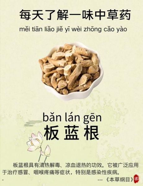 板蓝根冲剂的功效与作用_板蓝根冲剂能预防感冒吗-第2张图片-山城妙识