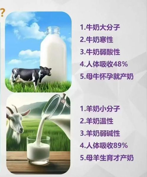 羊奶和牛奶哪个好_羊奶和牛奶的区别-第1张图片-山城妙识