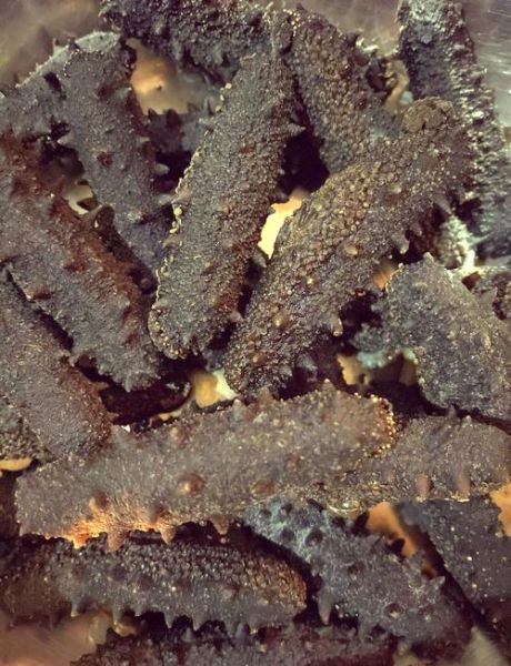 刺参怎么泡发_刺参的家常做法步骤-第2张图片-山城妙识