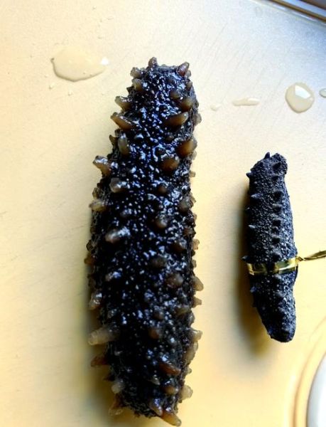 刺参怎么泡发_刺参的家常做法步骤-第3张图片-山城妙识