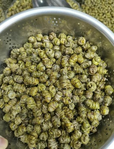 石斛多少钱一克_正宗霍山石斛价格-第3张图片-山城妙识