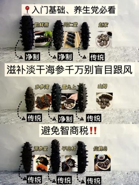 海参种类大全_海参怎么挑选-第2张图片-山城妙识 海参种类大全_海参怎么挑选-第2张图片-山城妙识