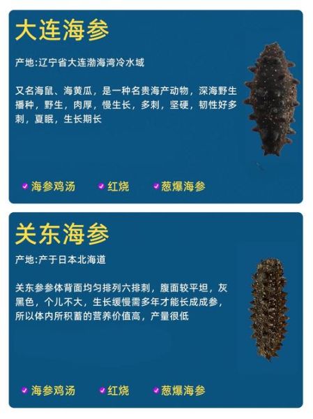 海参种类大全_海参怎么挑选-第3张图片-山城妙识 海参种类大全_海参怎么挑选-第3张图片-山城妙识