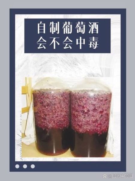 家庭版葡萄酒怎么做_自酿葡萄酒注意事项-第2张图片-山城妙识 家庭版葡萄酒怎么做_自酿葡萄酒注意事项-第2张图片-山城妙识